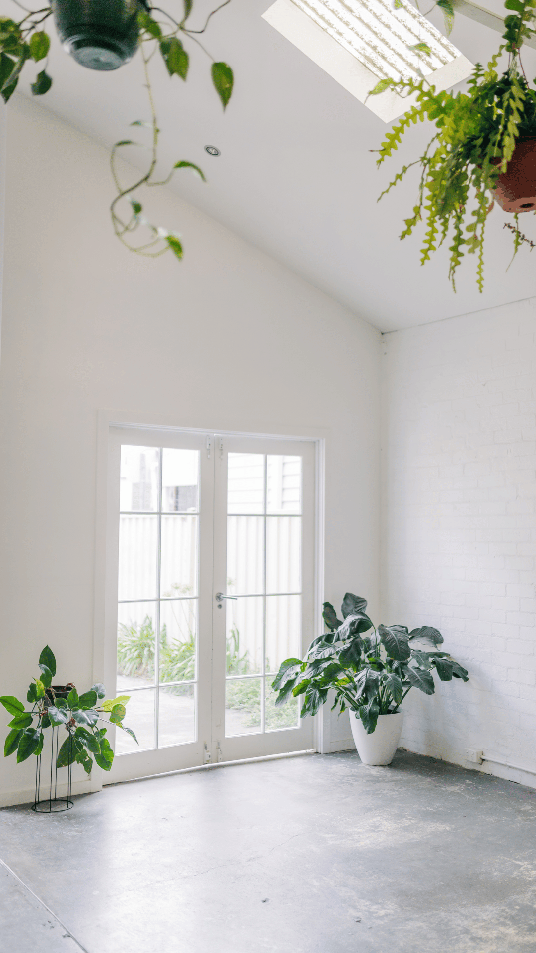 Beneath the Ferns - Thrive Flowers