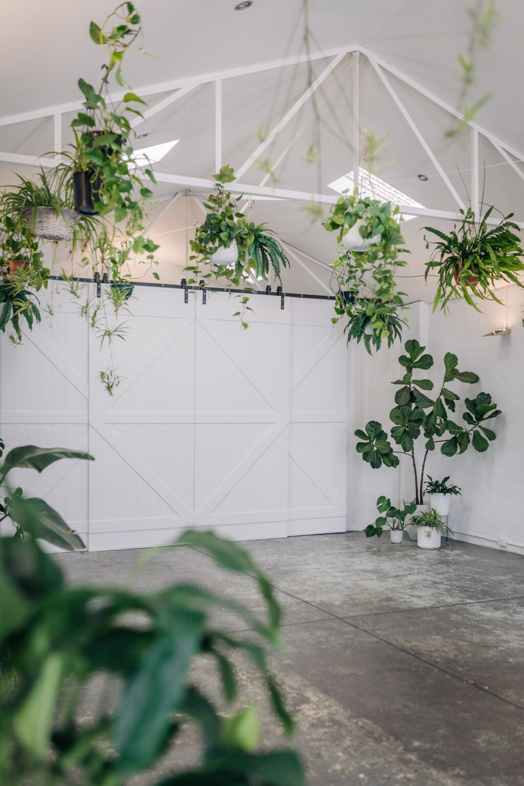 Beneath the Ferns - Thrive Flowers